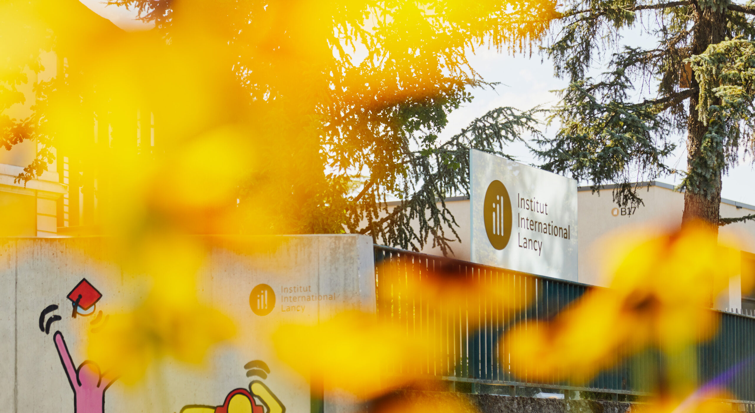 Overview - IIL : IIL