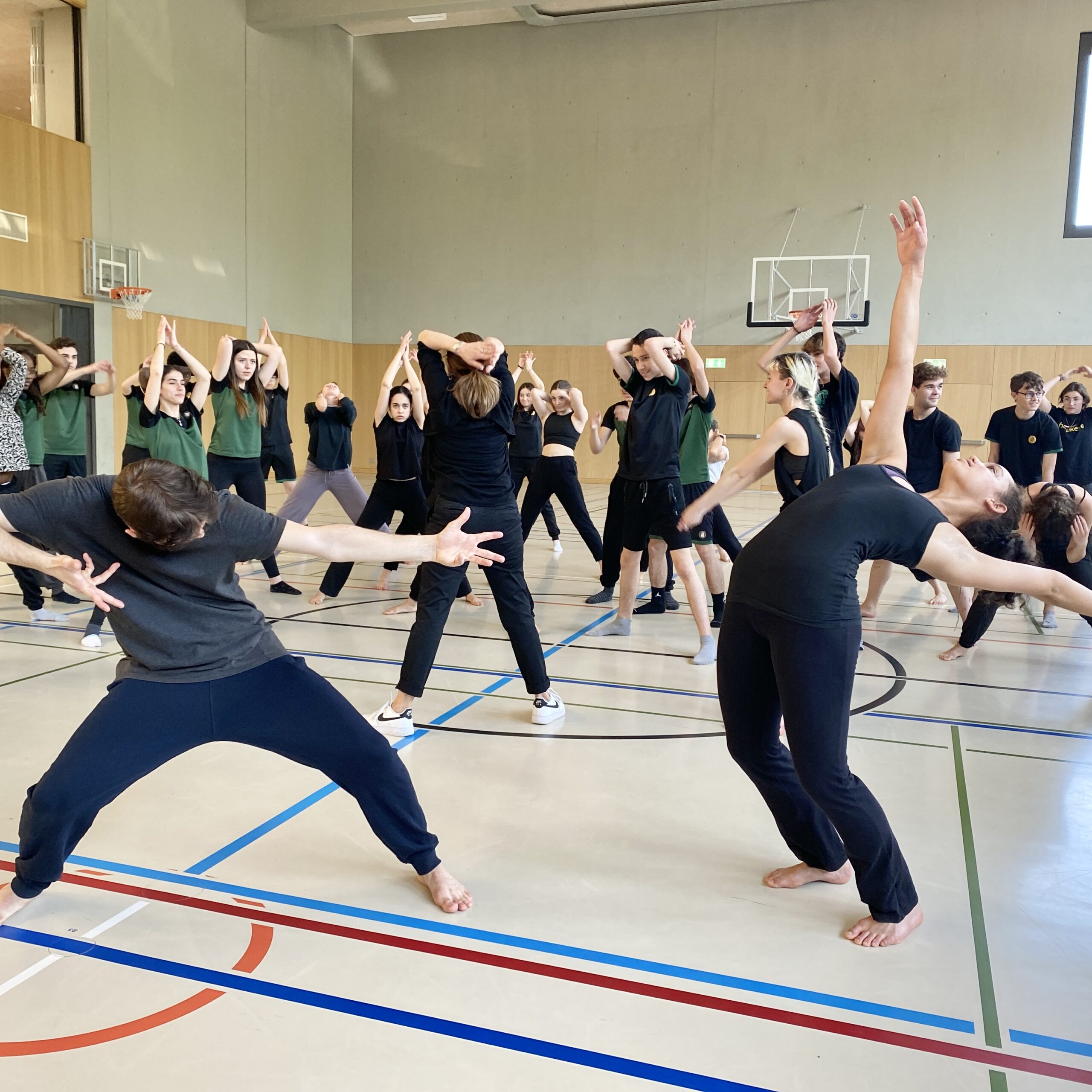 Cultural mediation through dance – Institut International de Lancy